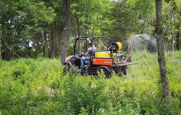 Herbicide Application - Manage unwanted invasive plants